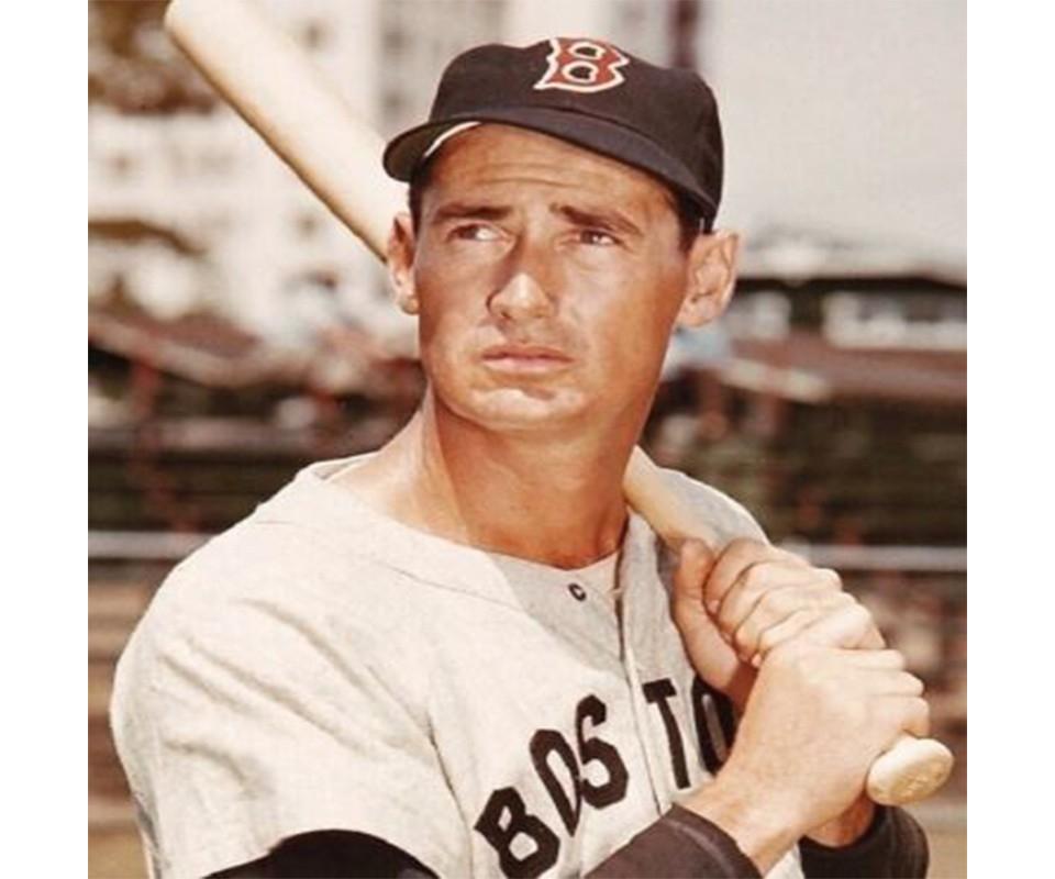 Ted Williams Collectibles